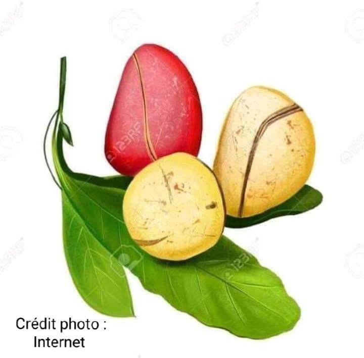 Cultures et traditions au Burkina : Baba Hama pour une Journée ...